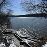 Abraham Lincoln Park White Trail, New York - 1,492 Reviews, Map | AllTrails