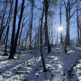 Abraham Lincoln Park White Trail, New York - 1,484 Reviews, Map | AllTrails