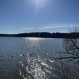 Abraham Lincoln Park White Trail, New York - 1,603 Reviews, Map | AllTrails