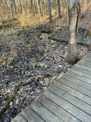 Best Hikes and Trails in Wapping Park | AllTrails