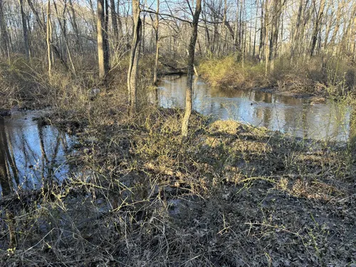 Best Hikes and Trails in Wapping Park | AllTrails