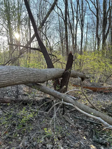 Best Hikes and Trails in Okehocking Preserve | AllTrails