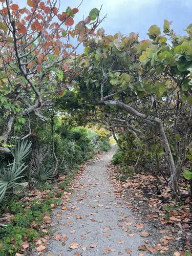 Best Hikes and Trails in Blowing Rocks Nature Preserve | AllTrails