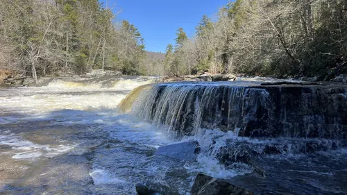 Best Hikes and Trails in Neversink River Unique Area | AllTrails