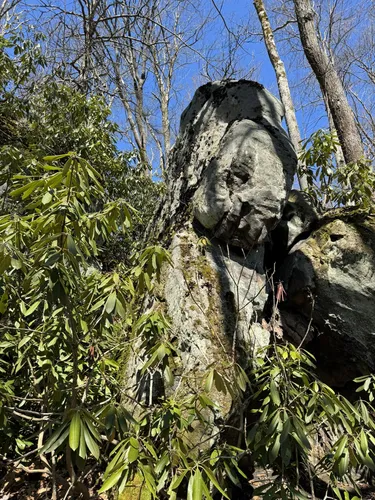 Best Backpacking Trails in Laurel Ridge State Park | AllTrails