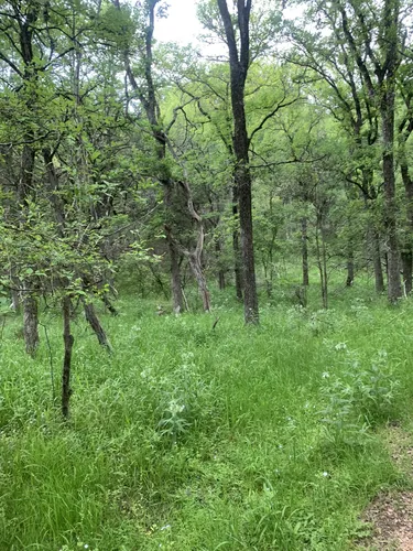 Best Hikes and Trails in Schulle Canyon Natural Area | AllTrails