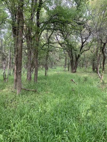 Best Hikes and Trails in Schulle Canyon Natural Area | AllTrails