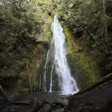 Madison Falls Trail, Washington - 1,632 Reviews, Map | AllTrails