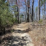 Stone Mountain Loop Trail, North Carolina - 3,143 Reviews, Map | AllTrails