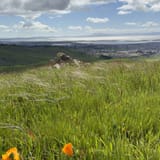 Middle Valley and South Valley Trail, California - 111 Reviews, Map ...