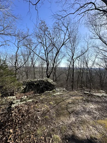 Best Hikes and Trails in Millstone Bluff National Register Site | AllTrails