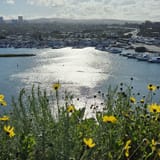 Back Bay Loop, California - 1,944 Reviews, Map | AllTrails