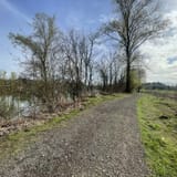 Molalla River State Park Trail, Oregon - 382 Reviews, Map | AllTrails