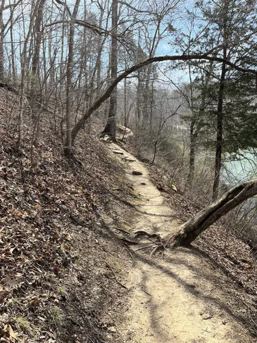 Best Kid Friendly Trails in Spring Mill State Park | AllTrails