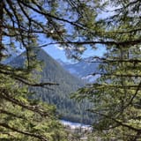Iron Goat Trail, Washington - 1,375 Reviews, Map | AllTrails
