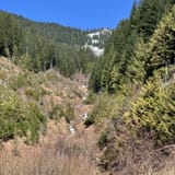Iron Goat Trail, Washington - 1,375 Reviews, Map | AllTrails