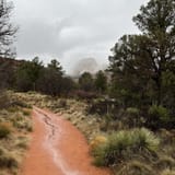 Deadman's Pass Trail, Arizona - 1,135 Reviews, Map | AllTrails