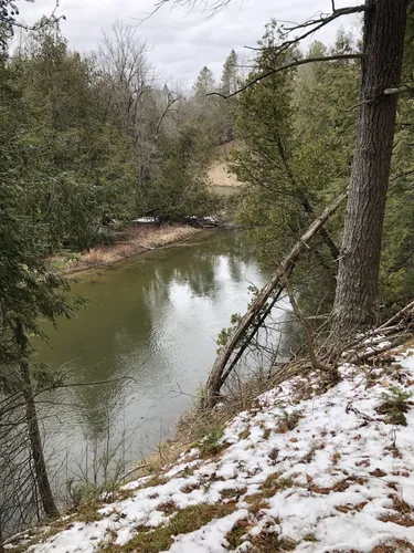 Best Camping Trails in Fife Lake | AllTrails