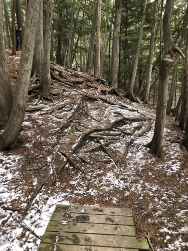 Best Camping Trails in Fife Lake | AllTrails