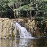 Waitui Falls, New South Wales, Australia - 12 Reviews, Map | AllTrails