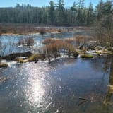 Pine Swamp Loop, New York - 1,220 Reviews, Map | AllTrails
