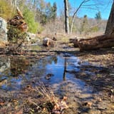 Pine Swamp Loop, New York - 1,220 Reviews, Map | AllTrails