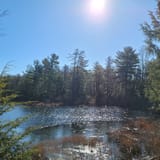 Pine Swamp Loop, New York - 1,220 Reviews, Map | AllTrails