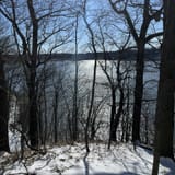 Abraham Lincoln Park White Trail, New York - 1,546 Reviews, Map | AllTrails