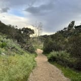 Eaton Canyon Trail, California - 11,946 Reviews, Map | AllTrails