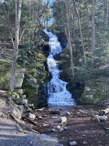 Best Views Trails in Walpack | AllTrails