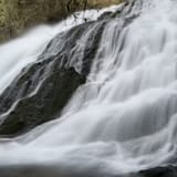 Alsea Falls and Green Peak Falls, Oregon - 1,094 Reviews, Map | AllTrails