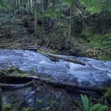 Duckabush River Trail to Five Mile Camp, Washington - 882 Reviews, Map ...