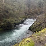 Ranger Hole Trail, Washington - 541 Reviews, Map | AllTrails