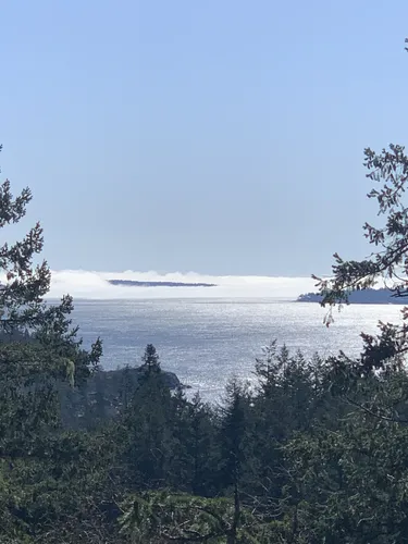 Best Hikes and Trails in Maud Island Recreation Site | AllTrails