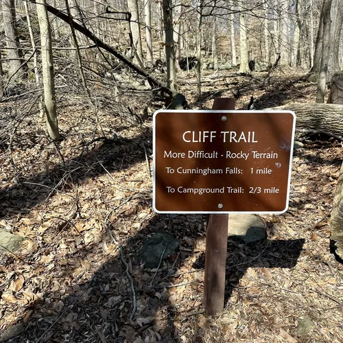 Best Walking Trails in Cunningham Falls State Park | AllTrails