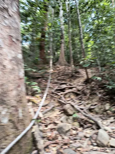 10 Best Hikes and Trails in Machinchang Cambrian Geoforest Park | AllTrails