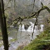 Lake to Lake Trail Loop via Lacamas Creek, Washington - 2,040 Reviews ...