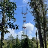 Mount Sutro Loop, California - 2,517 Reviews, Map | AllTrails