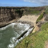 Old Cove Landing Trail, California - 3,579 Reviews, Map | AllTrails