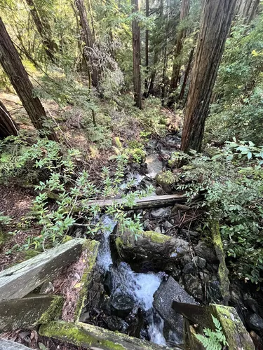 Best Paved Trails in Mill Valley | AllTrails