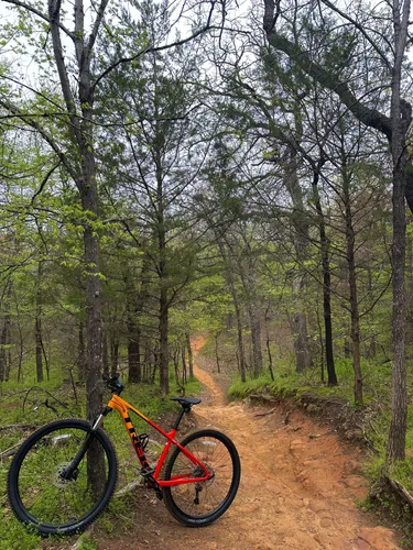 Best Mountain Biking Trails in Flower Mound | AllTrails