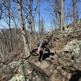 Sharp Top Trail, Virginia - 2,763 Reviews, Map | AllTrails