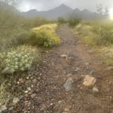 Levee Trail from 104 Street Trailhead, Arizona - 736 Reviews, Map ...
