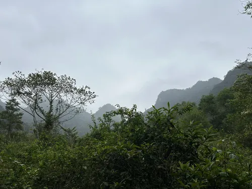 Best Hikes and Trails in Cát Bà National Park | AllTrails