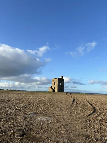 Best Hikes and Trails in Glenbower Wood | AllTrails