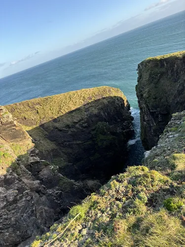 Best Hikes and Trails in Glenbower Wood | AllTrails