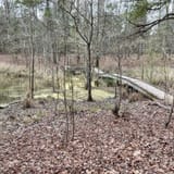 Harris Lake Peninsula Trail, North Carolina - 1,872 Reviews, Map ...