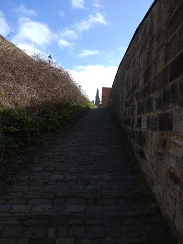 10 Best Walking Trails in Whitby | AllTrails