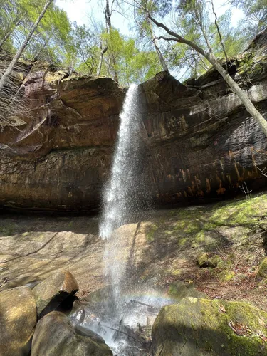 Best Backpacking Trails in Double Springs | AllTrails