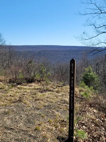 Best Easy Trails in Spring Mills | AllTrails